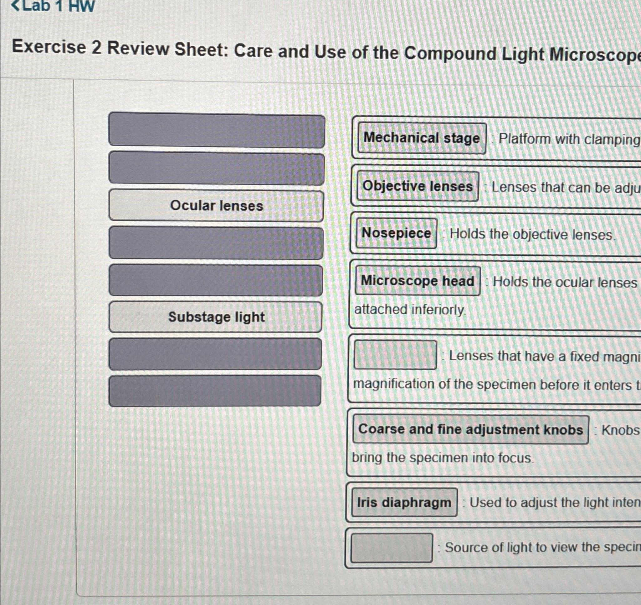 Solved 1HWExercise 2 ﻿Review Sheet: Care and Use of ﻿the | Chegg.com