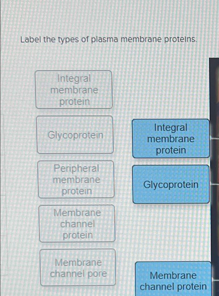Solved Label the types of plasma membrane | Chegg.com