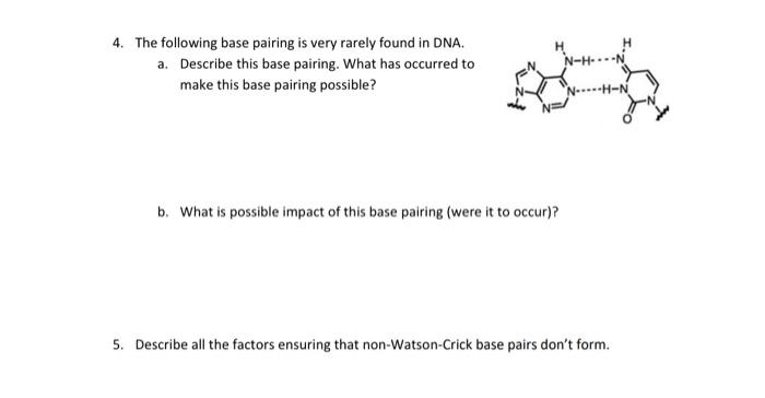 Solved 4. The following base pairing is very rarely found in | Chegg.com