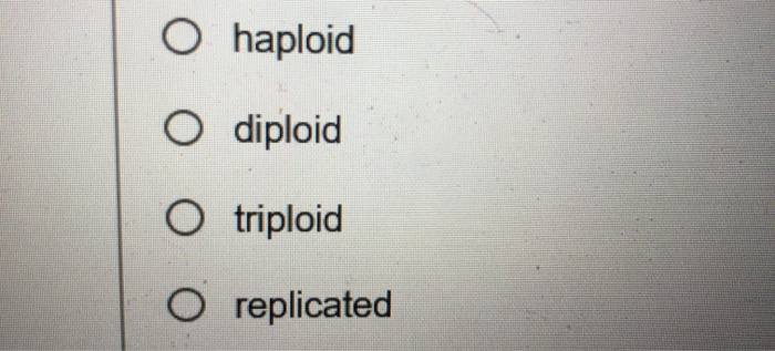 Solved What is the ploidy of this cell model? B 8 O | Chegg.com