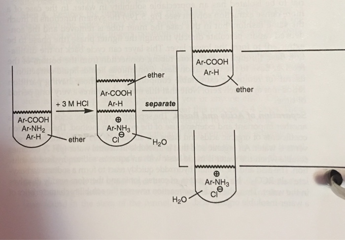 Solved please make a Flow chart like this picture and | Chegg.com