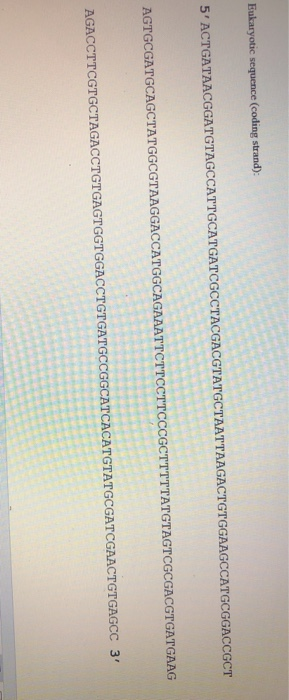 Solved Eukaryotic sequence (coding strand): | Chegg.com
