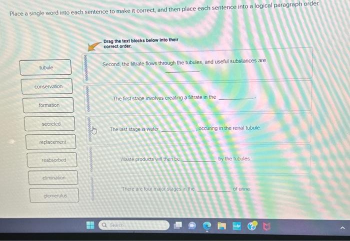 Solved Piace a single word into each sentence to make it | Chegg.com