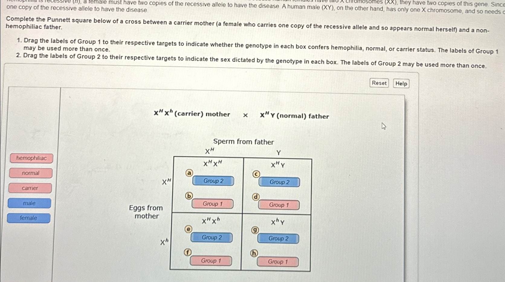 Solved one copy of the reces allele to have the disease A | Chegg.com