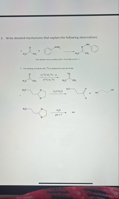 Solved Write detailed mechanisms that explain the following | Chegg.com