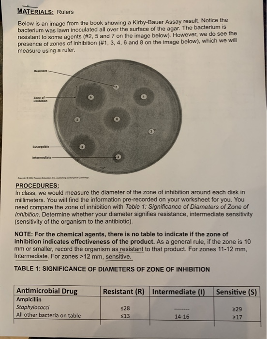 Solved MATERIALS: Rulers Below is an image from the book | Chegg.com