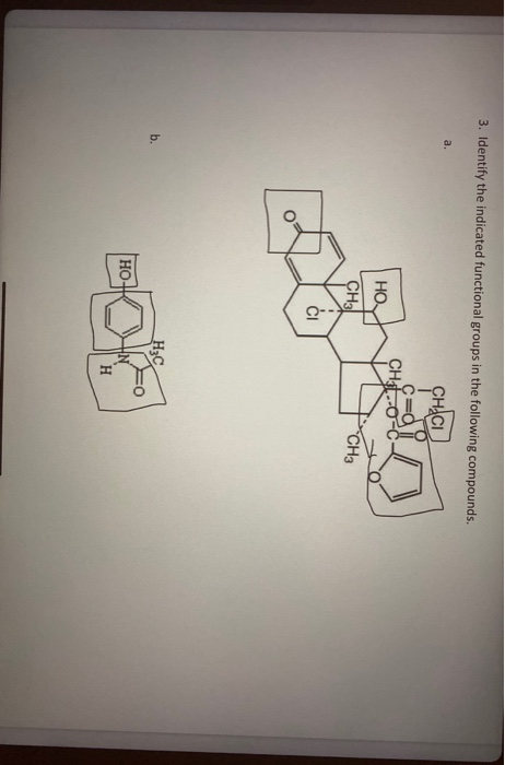 Solved 3 Identify The Indicated Functional Groups In The 2382
