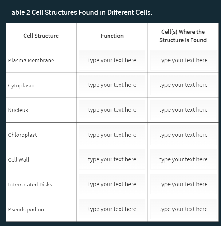 Solved Table 2 ﻿Cell Structures Found in Different Cells. | Chegg.com