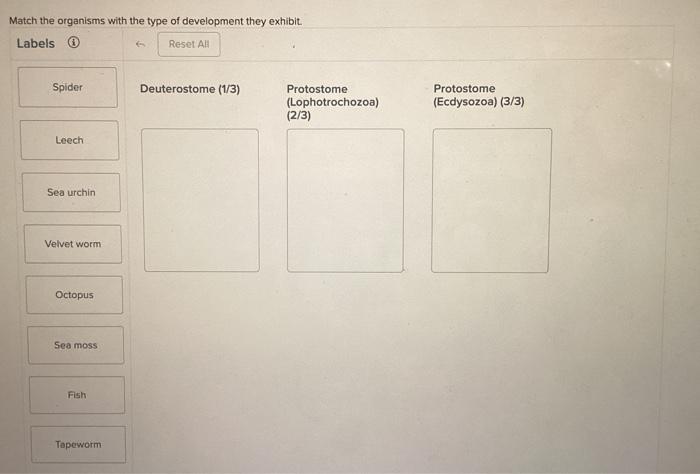 Solved Match the organisms with the type of development they | Chegg.com