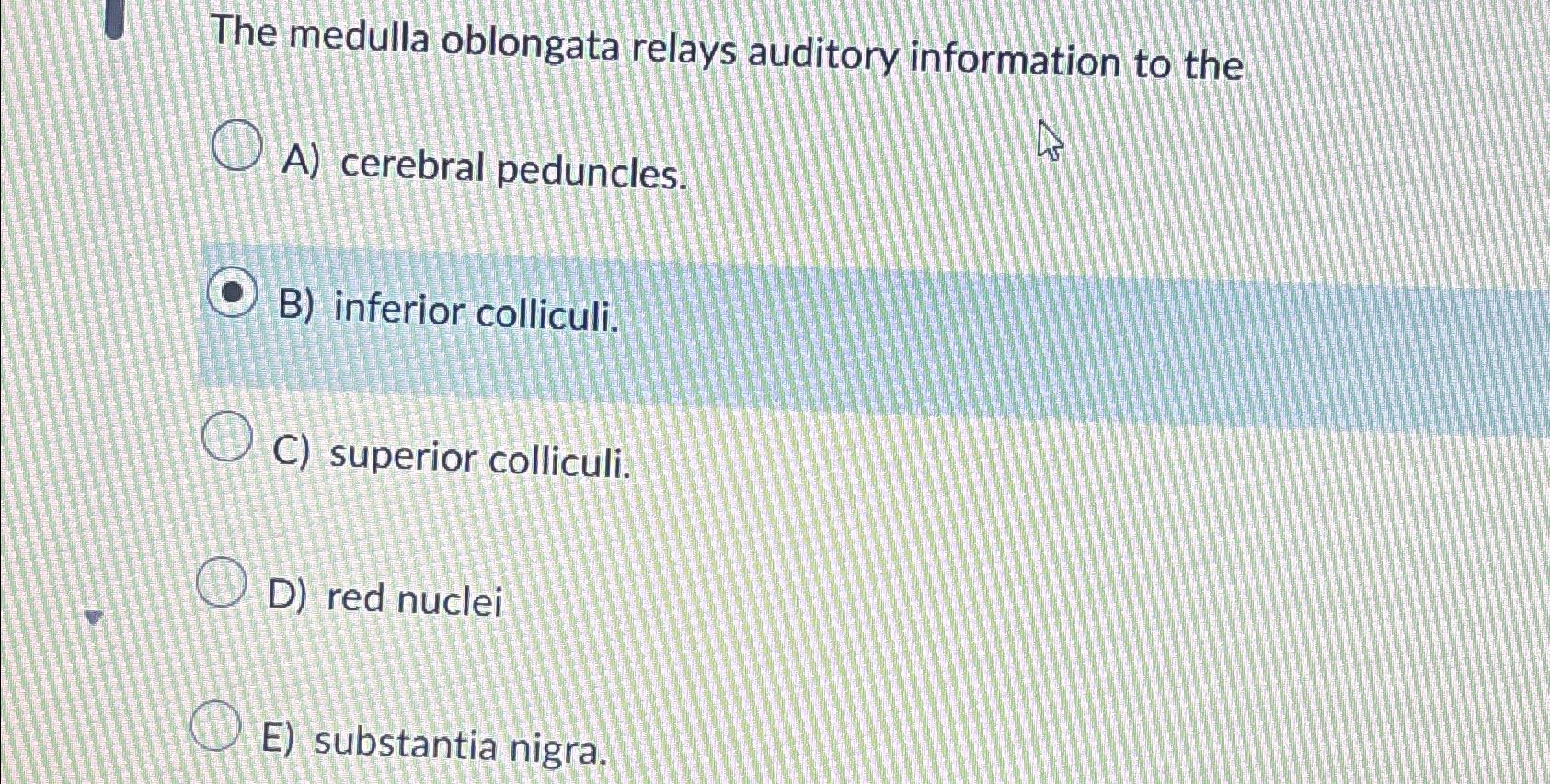 Solved The medulla oblongata relays auditory information to | Chegg.com