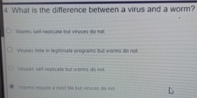 Solved 4 ﻿What is the difference between a virus and a | Chegg.com