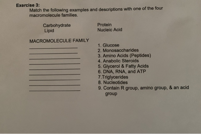 Solved Exercise 3: Match the following examples and | Chegg.com