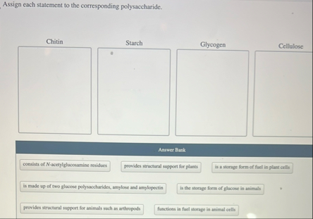 Solved Assign each statement to the corresponding | Chegg.com