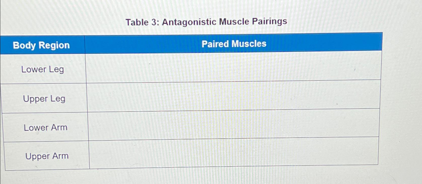 Table 3: Antagonistic Muscle Pairings\table[[Body | Chegg.com