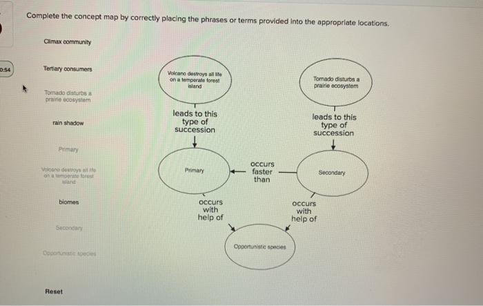 Solved Complete the concept map by correctly placing the | Chegg.com
