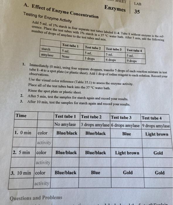 Solved LAB Enzymes A. Effect of Enzyme Concentration Testing | Chegg.com