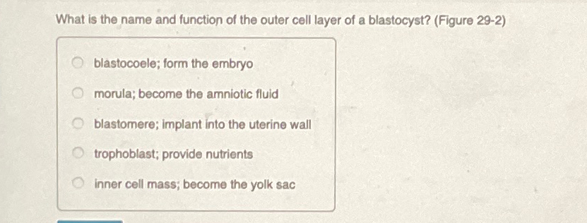 Solved What is the name and function of the outer cell layer | Chegg.com