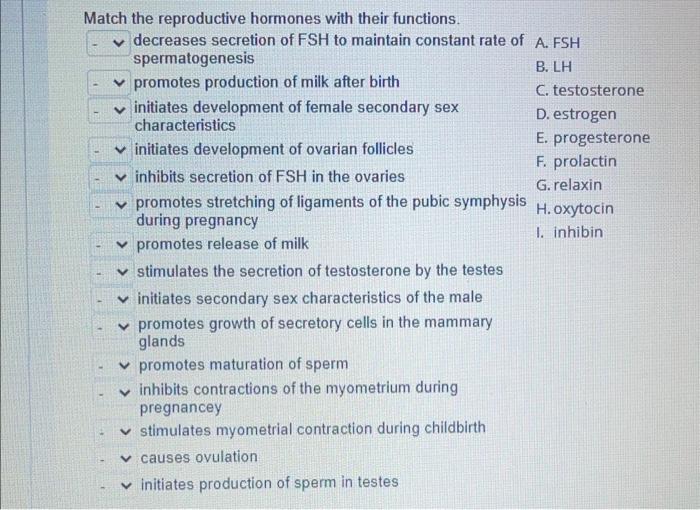 Solved Match the reproductive hormones with their functions. | Chegg.com