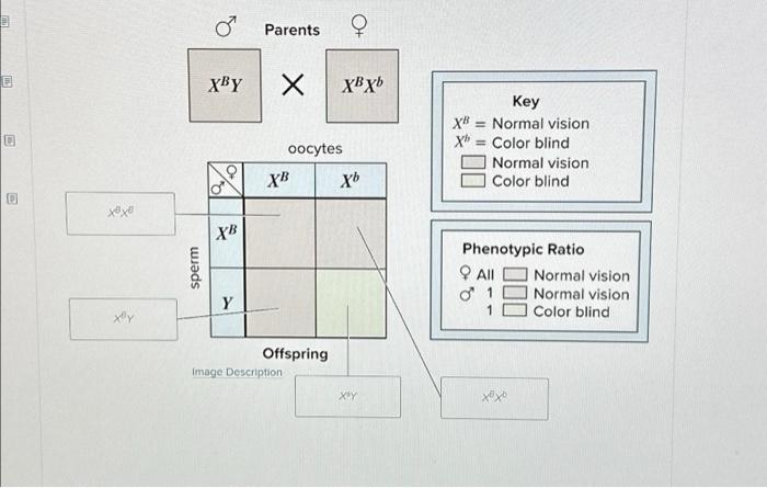 Solved did i fill this out correctly? | Chegg.com