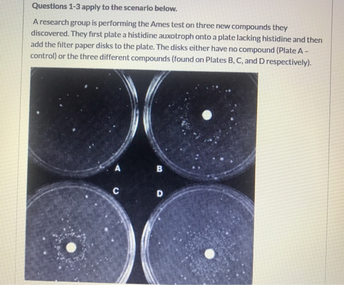 Solved What is a reasonable conclusion for the results | Chegg.com
