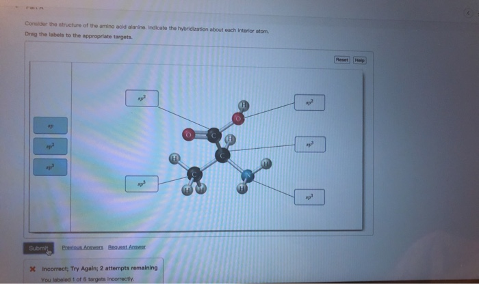 Solved Consider the structure of the amino acid alarine | Chegg.com