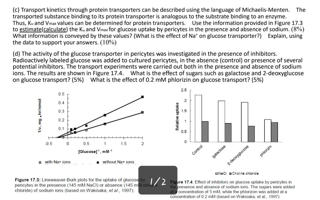 Solved (c) Transport kinetics through protein transporters | Chegg.com