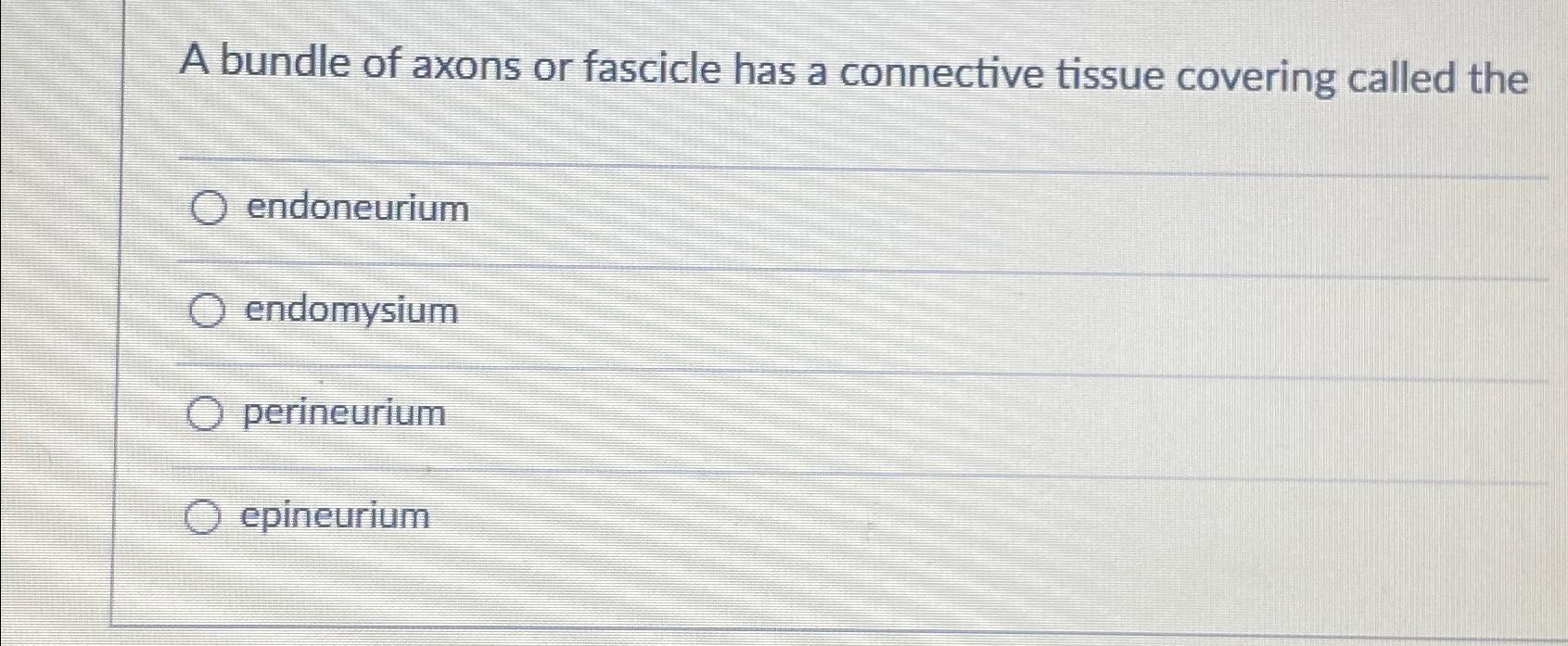 Solved A bundle of axons or fascicle has a connective tissue | Chegg.com