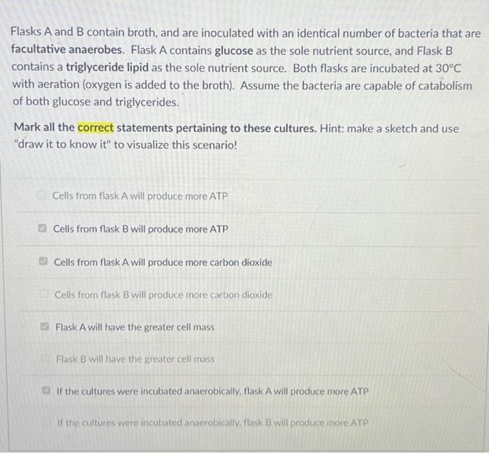 Solved Flasks A and B contain broth, and are inoculated with | Chegg.com