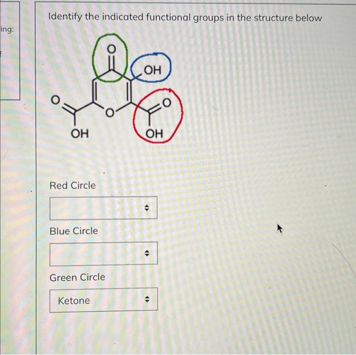 Solved Identify the indicated functional groups in the | Chegg.com