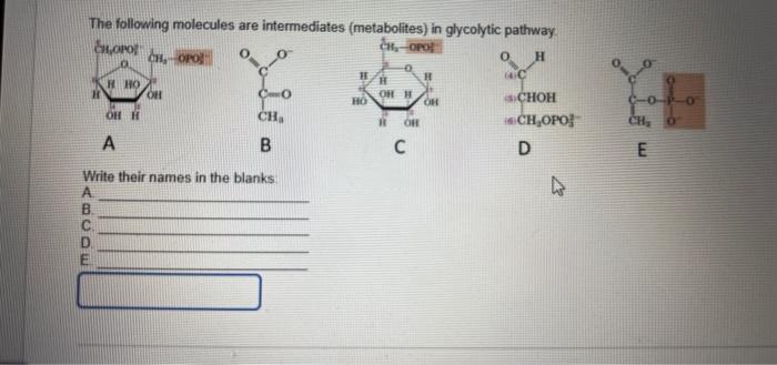 Solved The following molecules are intermediates | Chegg.com