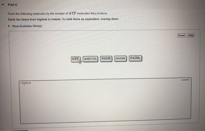Solved Part Rank the following molecules by the number of | Chegg.com Solved Part Rank the following molecules by the number of | Chegg.com