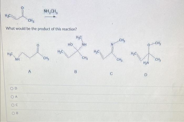 Solved NH2CH3 What would be the product of this | Chegg.com