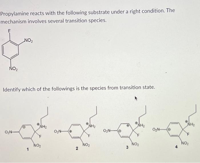 Solved Propylamine reacts with the following substrate under | Chegg.com