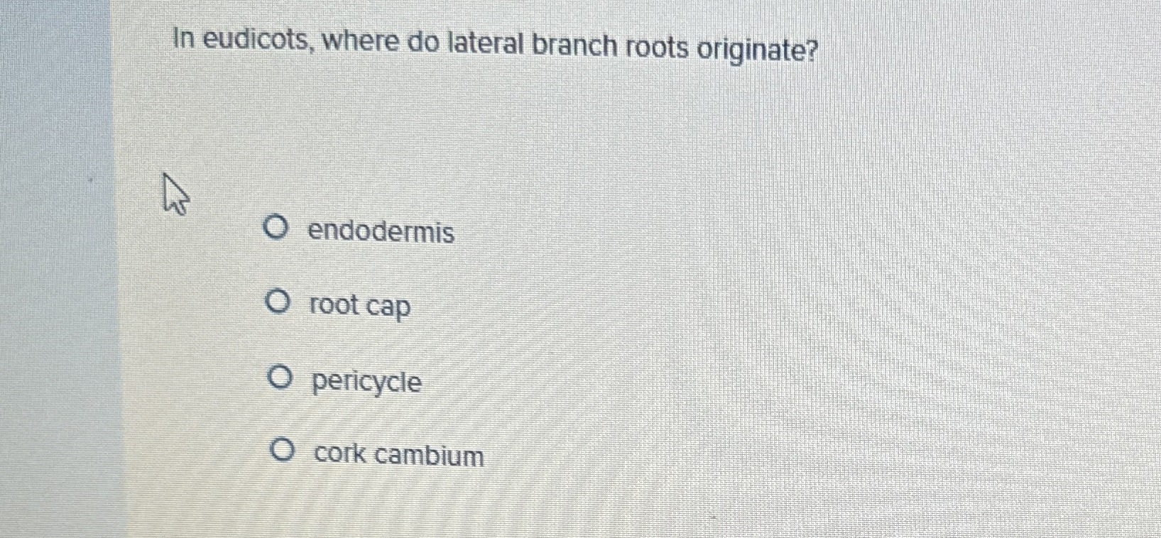 Solved In eudicots, where do lateral branch roots | Chegg.com