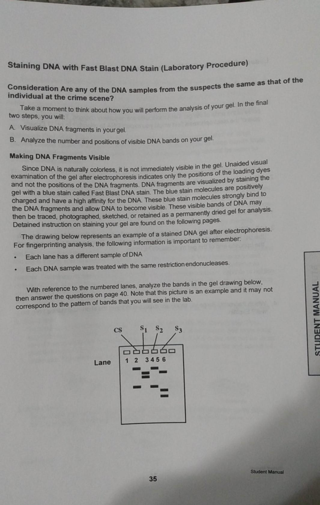 Solved Lab 14 B. MANUAL: DNA FINGERPRINTING (Part B: DNA | Chegg.com