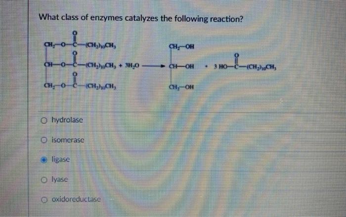 Solved What class of enzymes catalyzes the following | Chegg.com