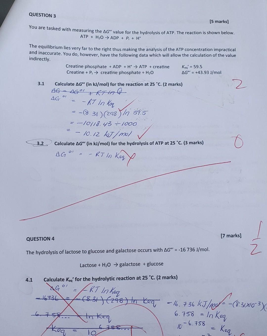 Solved [5 marks] You are tasked with measuring the ΔG∘′ | Chegg.com