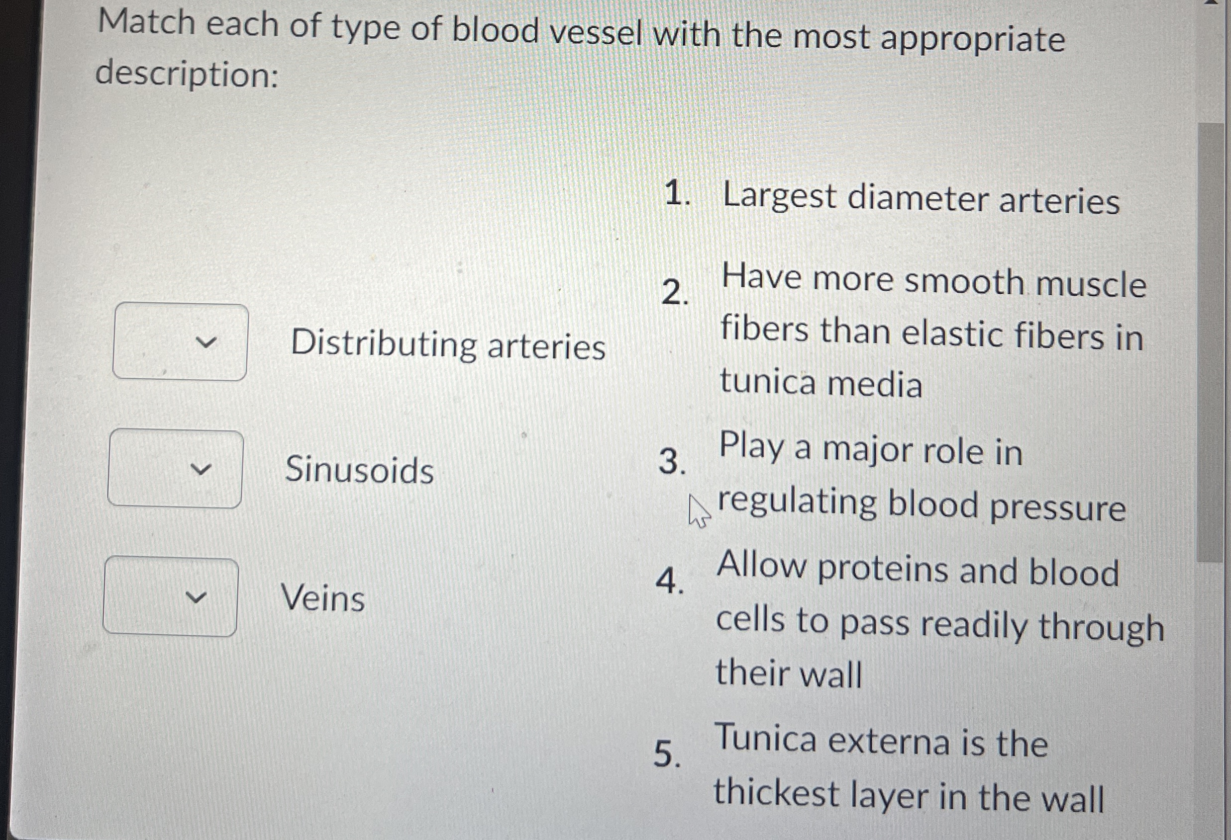 Solved Match each of type of blood vessel with the most | Chegg.com