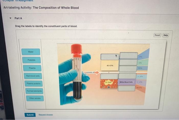 Solved Art-labeling Activity: The Composition of Whole Blood | Chegg.com