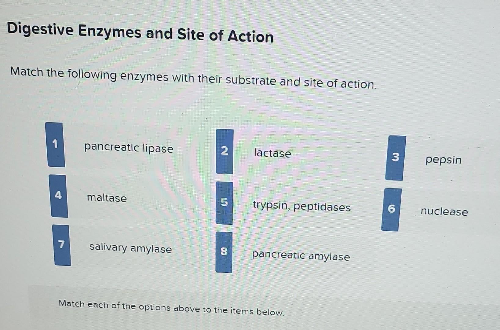 Solved Digestive Enzymes and Site of Action Match the | Chegg.com