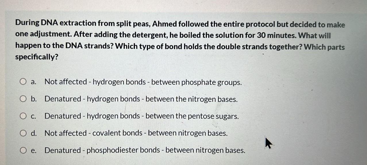 Solved During DNA extraction from split peas, Ahmed followed | Chegg.com