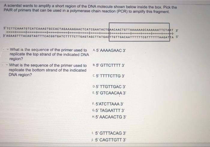 Solved A scientist wants to amplify a short region of the | Chegg.com