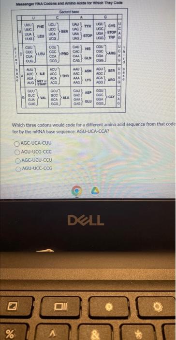 Solved Bacterial cells have the ability to divide every 20 | Chegg.com