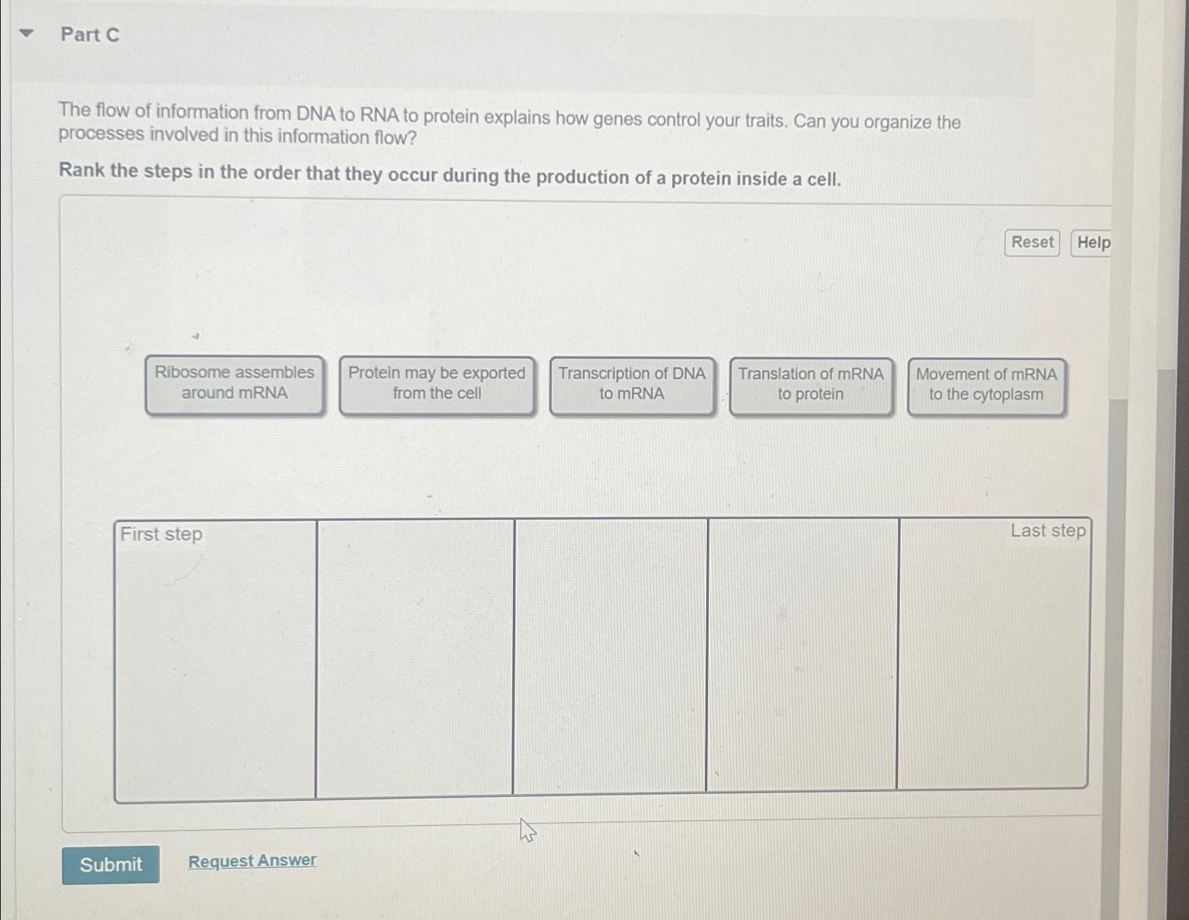 Solved Part CThe flow of information from DNA to RNA to | Chegg.com