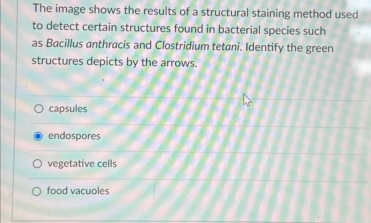 Solved The image shows the results of a structural staining | Chegg.com