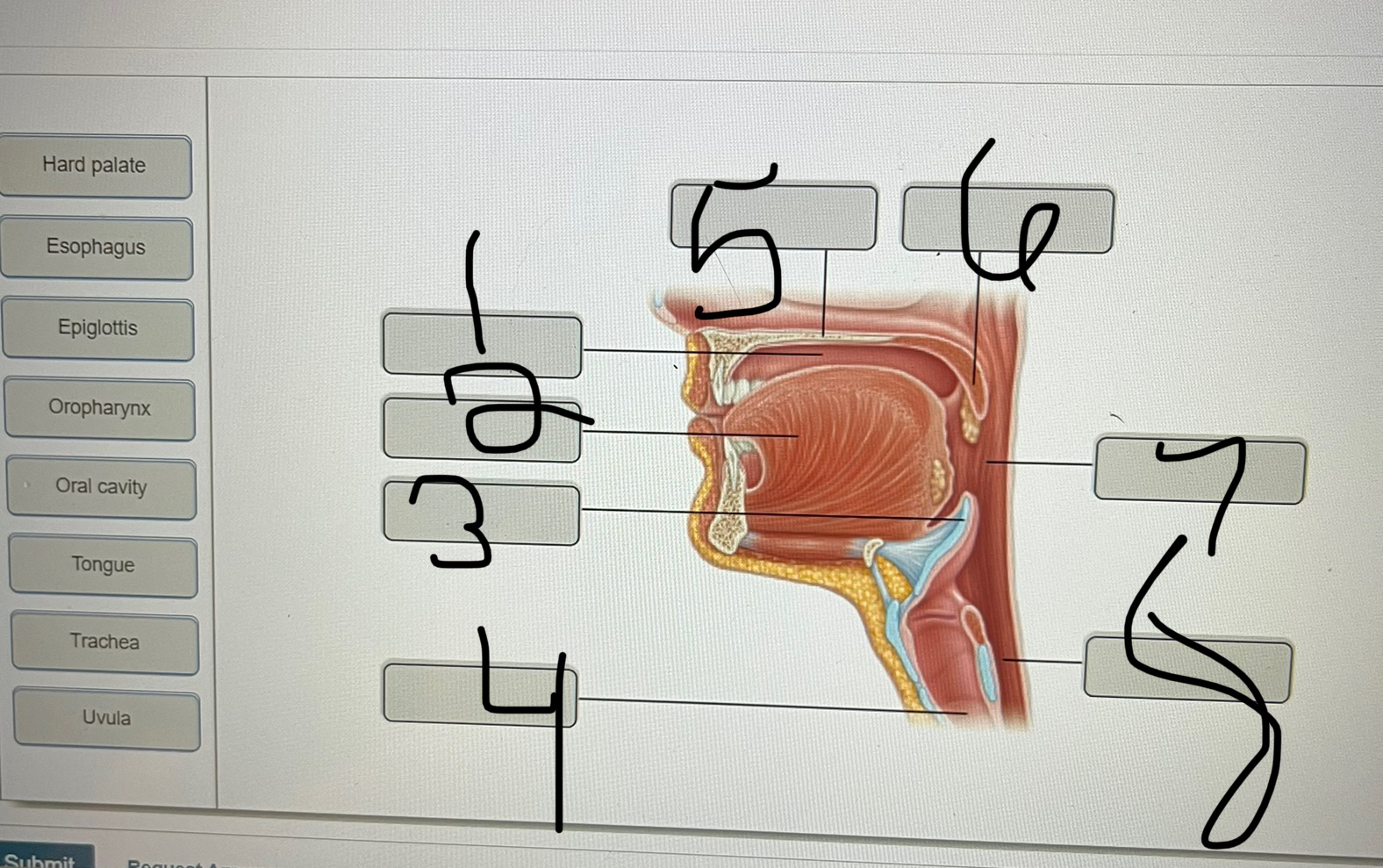 Solved Please label 1-8 | Chegg.com