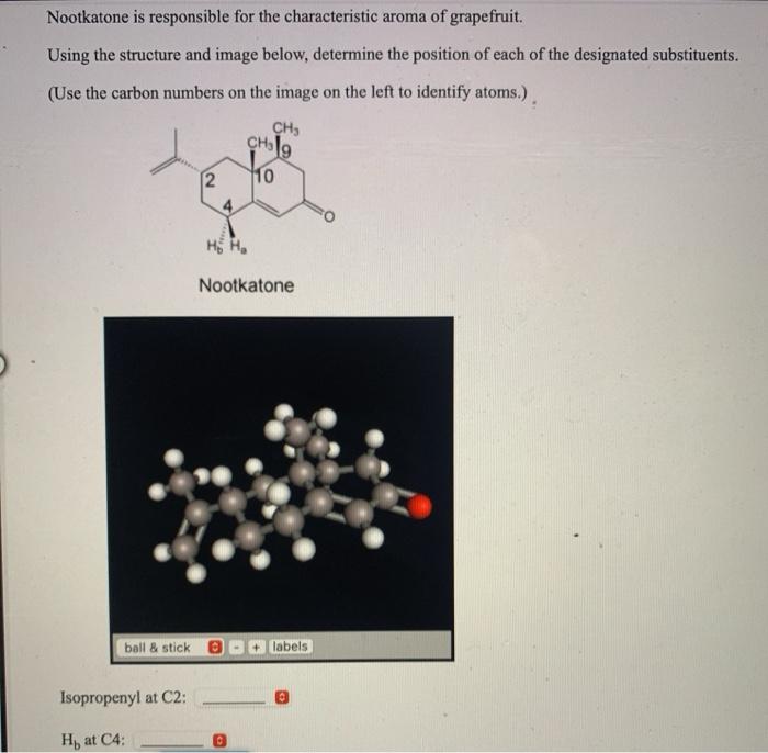 Solved Nootkatone is responsible for the characteristic | Chegg.com