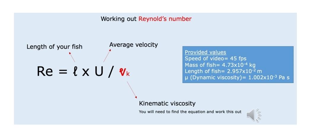 Solved Working out Reynold's number Length of your fish | Chegg.com