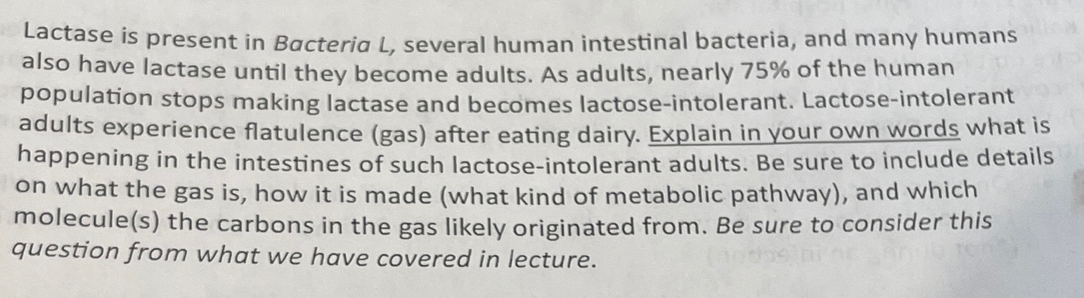 Solved Lactase is present in Bacteria L, ﻿several human | Chegg.com