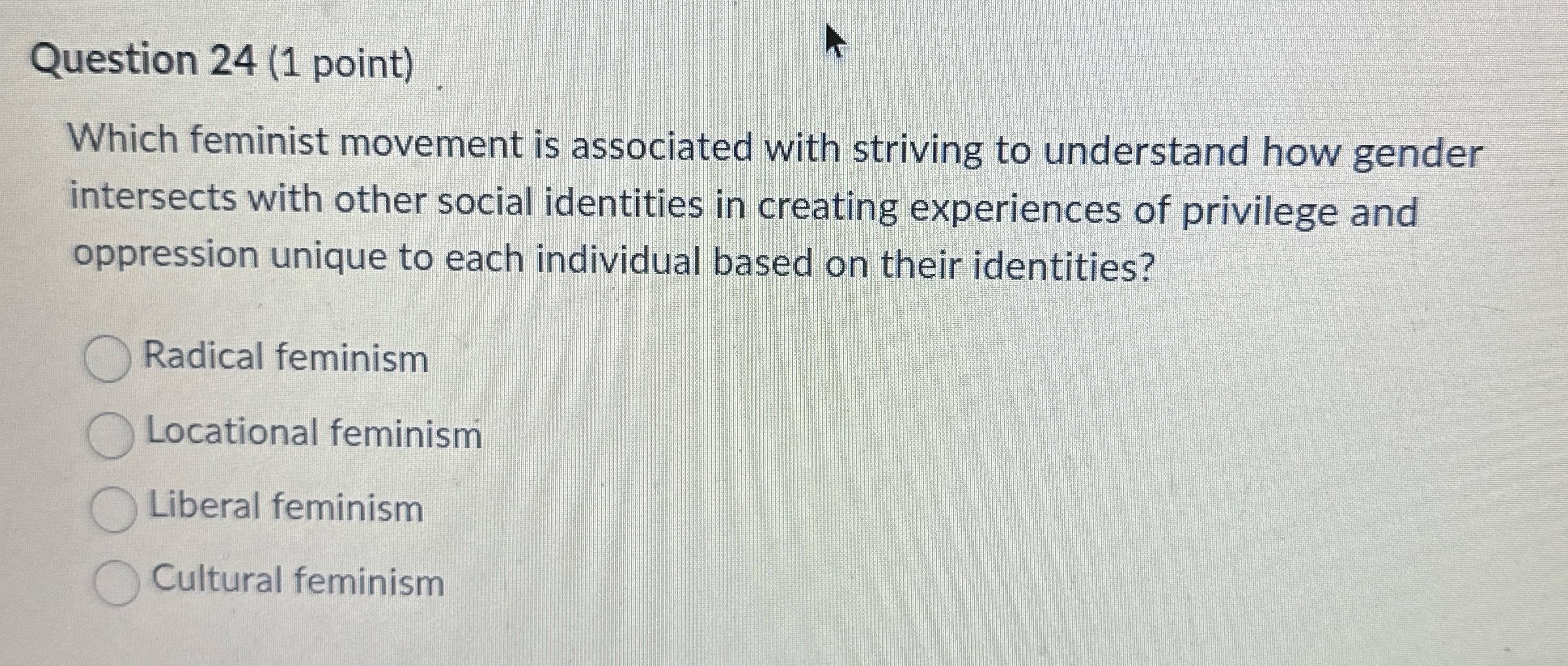 Solved Question 24 (1 ﻿point)Which feminist movement is | Chegg.com